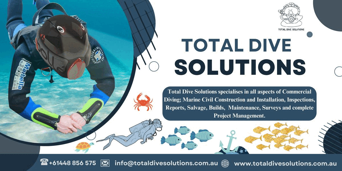 Diving Southern Tasmania — Total Dive Solutions - Total Dive Solutions - Medium