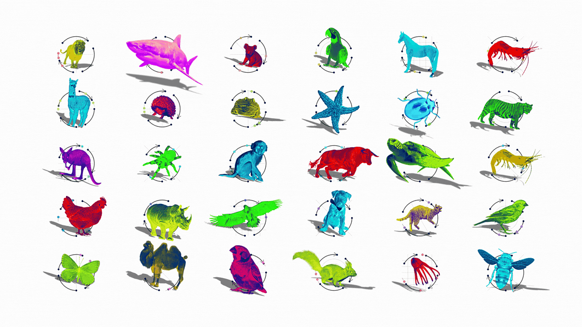 Animal adjectives. Collateral adjectives for animals | by Luciano ...