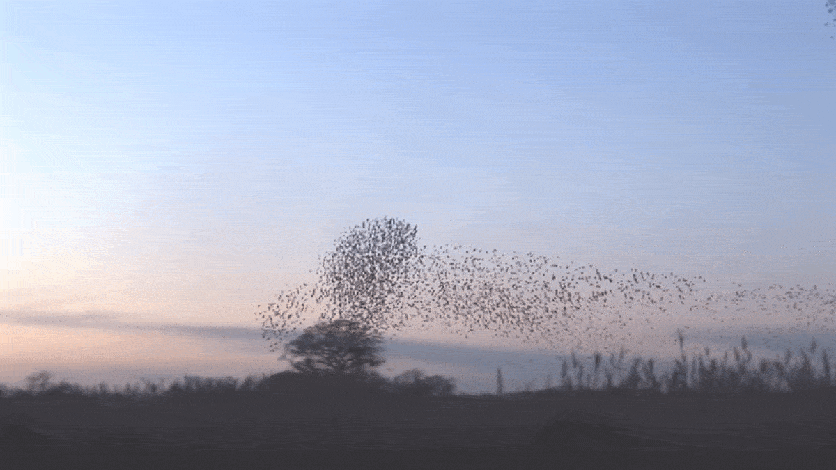 Nature-Inspired Optimization Algorithms: Particle Swarm Optimization ...