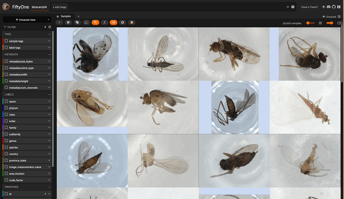 Beyond the Microscope: Diving into BIOSCAN-5M, a New Dataset for Insect ...