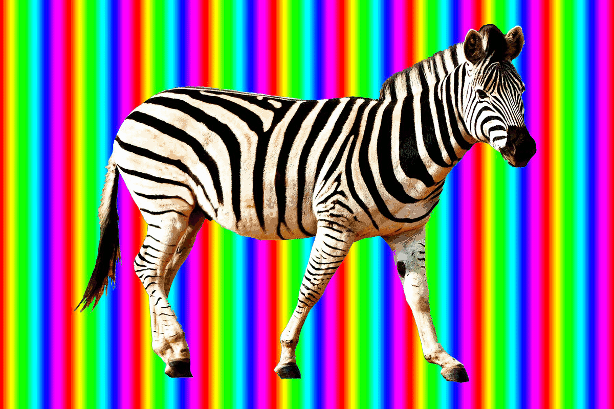 How to create an animated image for your Medium publication | by Ivan ...