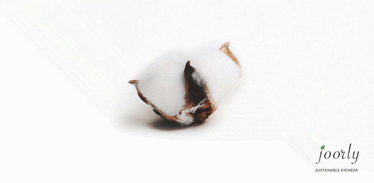 Exploring Eco-Friendly Frame Materials: The Rise of Biodegradable ...