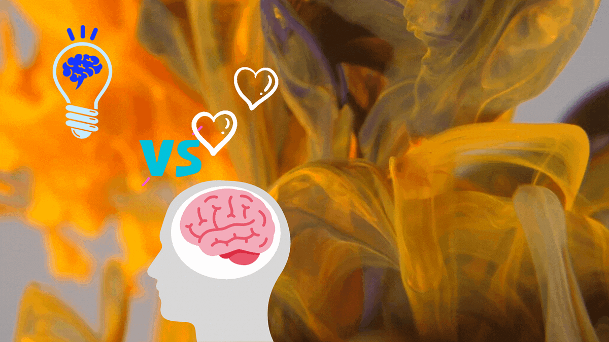 Head vs Heart, How to choose the right path? | by 🔴Tamal Roy💚 Blazing ...
