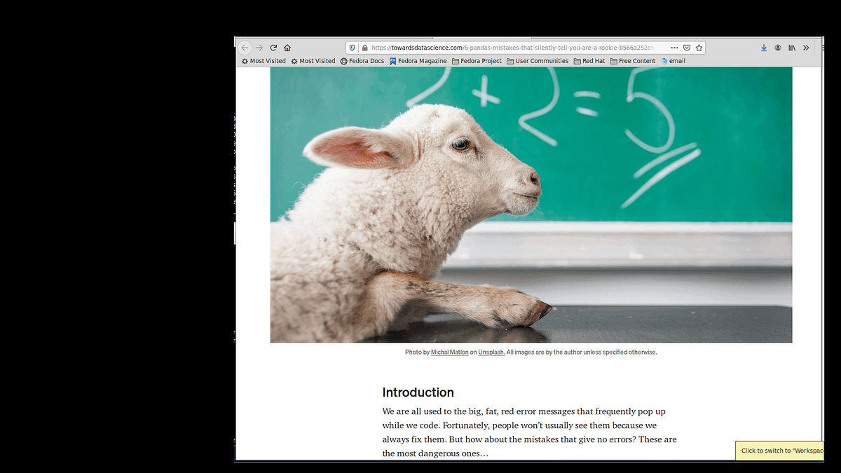 Test a reg newsletter to send - Test Newsletters - Medium