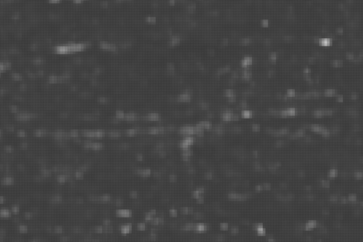 Vesuvius Challenge Ink Detection — Part 1: Introduction | by Jared Landau | Medium