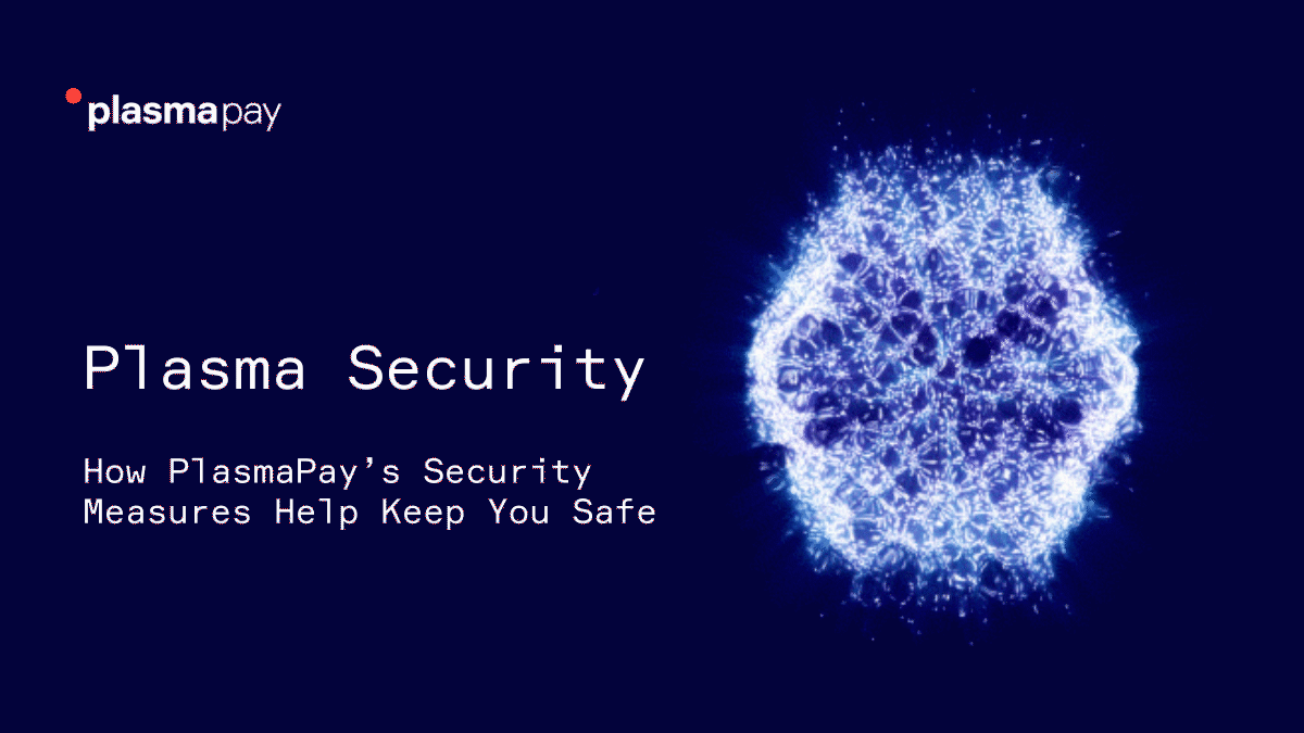How PlasmaPay’s Security Measures Help Keep You Safe | by PlasmaPay ...