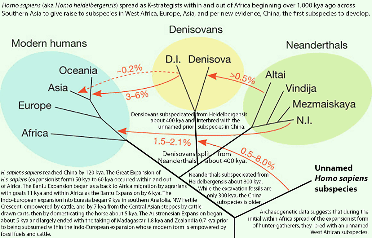 New Homo sapiens Subspecies Found in China | by Eric Lee | Medium
