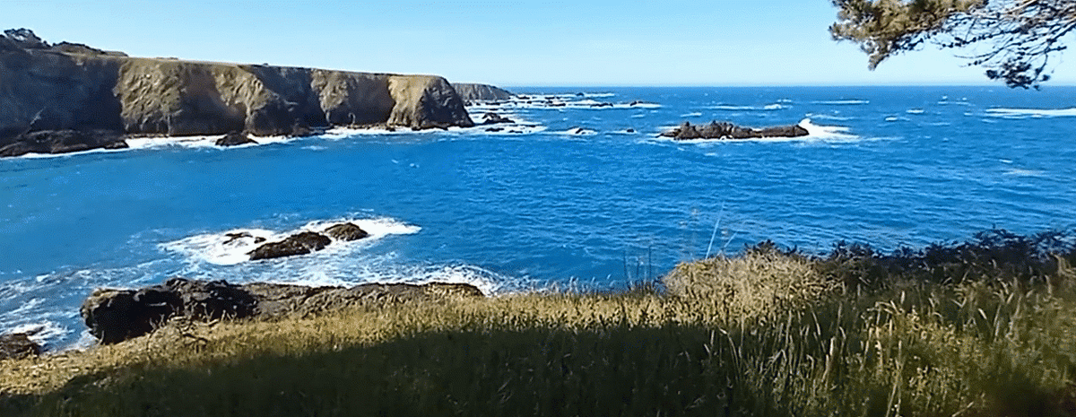 The Planet of California. I’m a native Californian, born and… | by ...