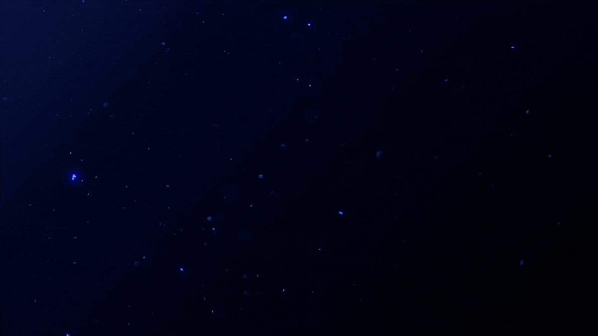 Our Founding Story - Saka Digital | by Saka Digital | Medium