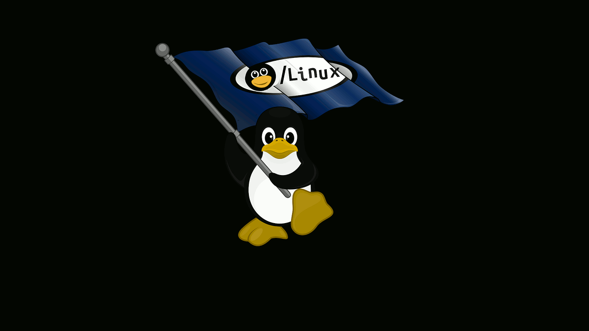 Linux Fun commands. A Playful Tour of Amusing Terminal… | by Suraj ...