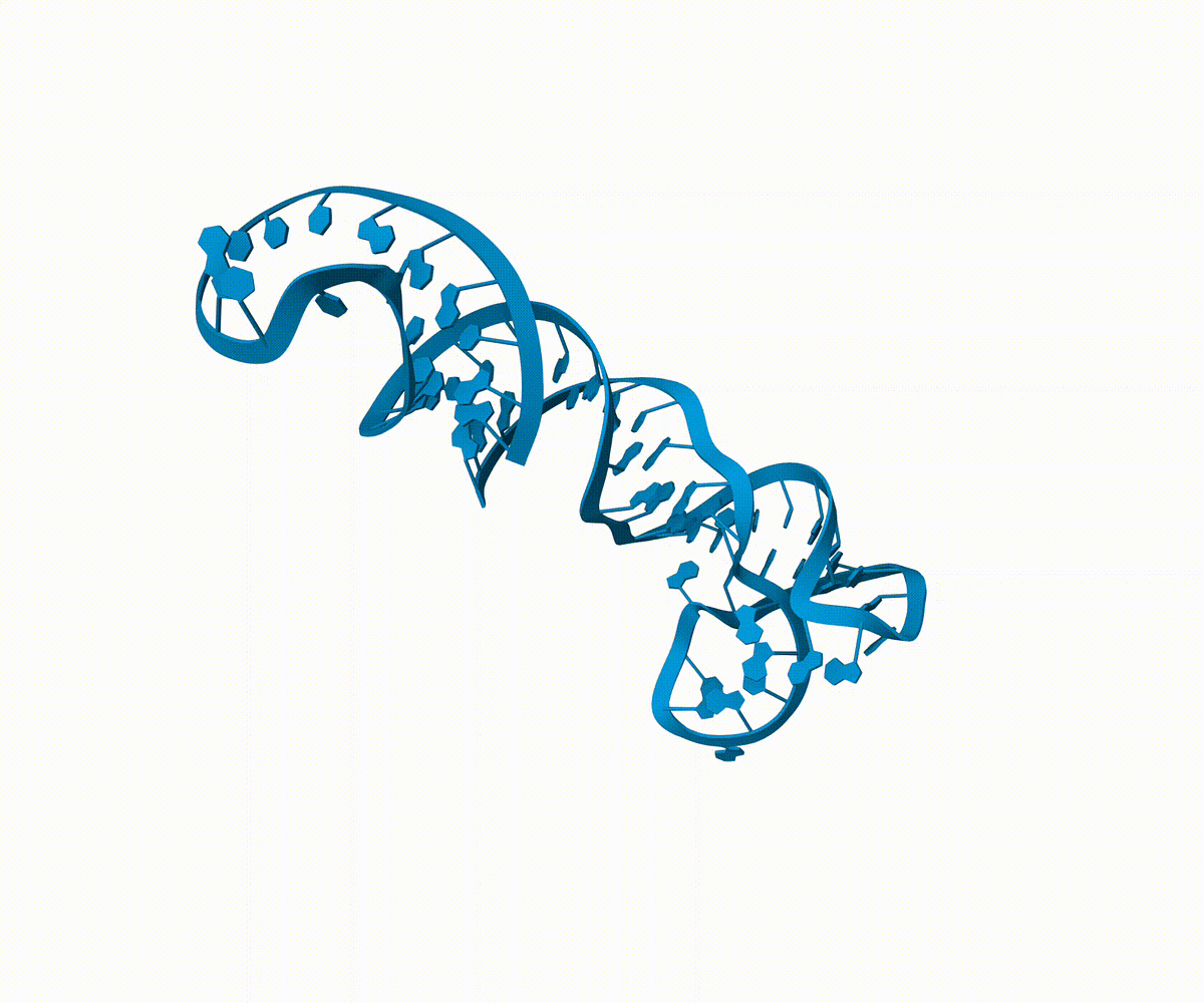 RNA 3D structure: Reading and writing PDB files with BioPython and Plotly | by Clement Bernard ...