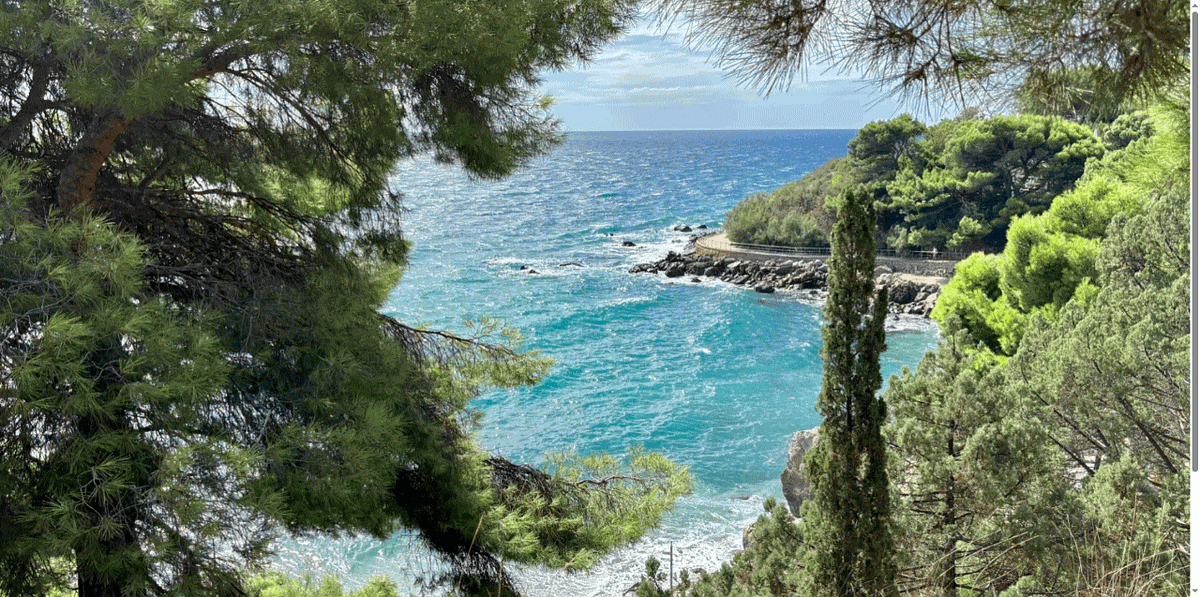 How to crop an image using html2canvas and some CSS with JavaScript ...
