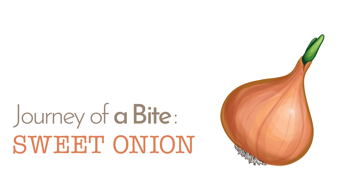 Journey of a Bite: Sweet Onions. In the Middle Ages, onions bulbs were ...