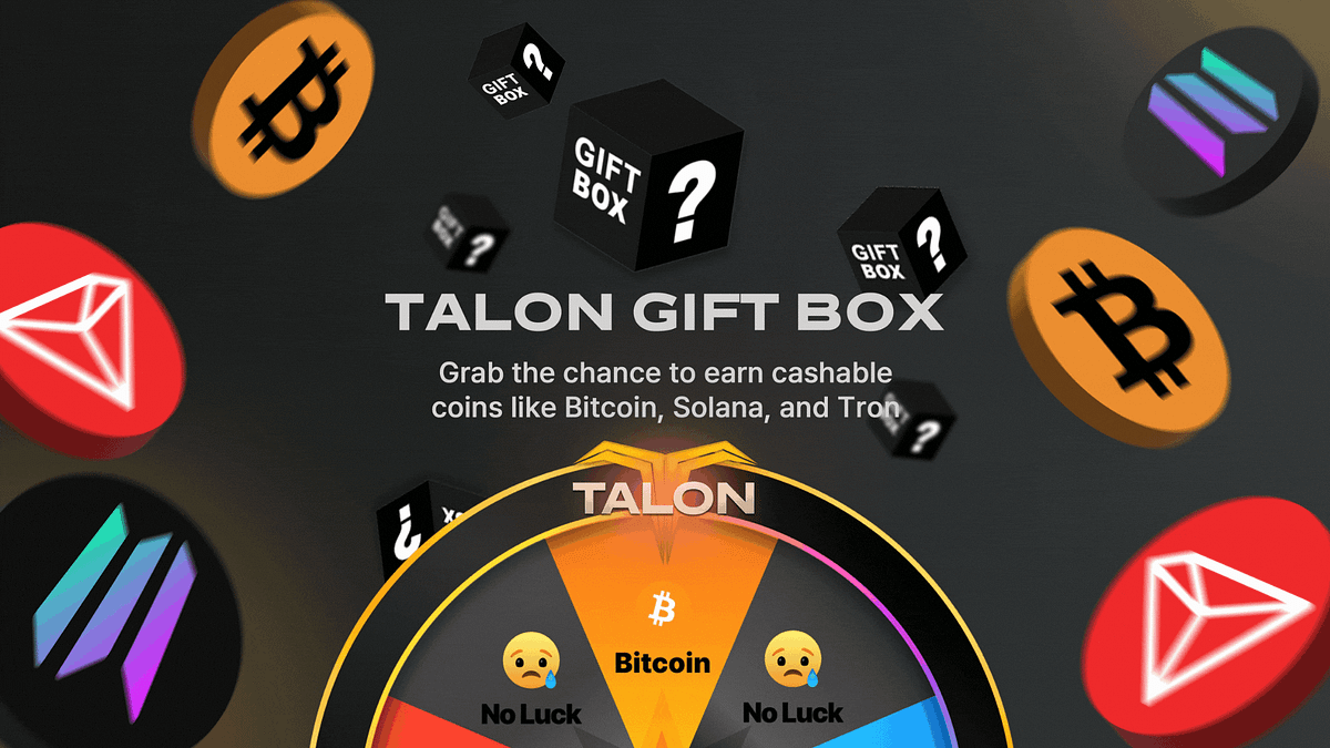 “Special Offer: TALON GIFT BOX” EVERYDAY - TALON - Medium