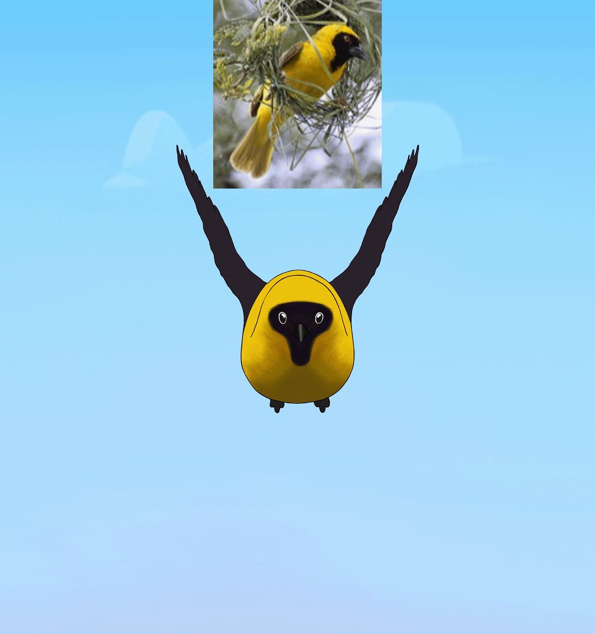 2D Birds. 2D Birds is a 5000 animated nft project… | by Epoch Nft | Medium