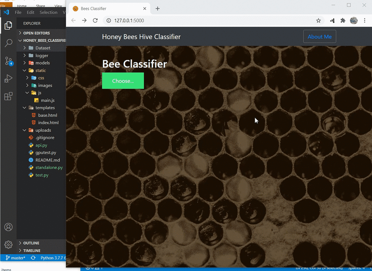 Honey Bees Classifier. Git repo… | by Choudharyuttam | Medium