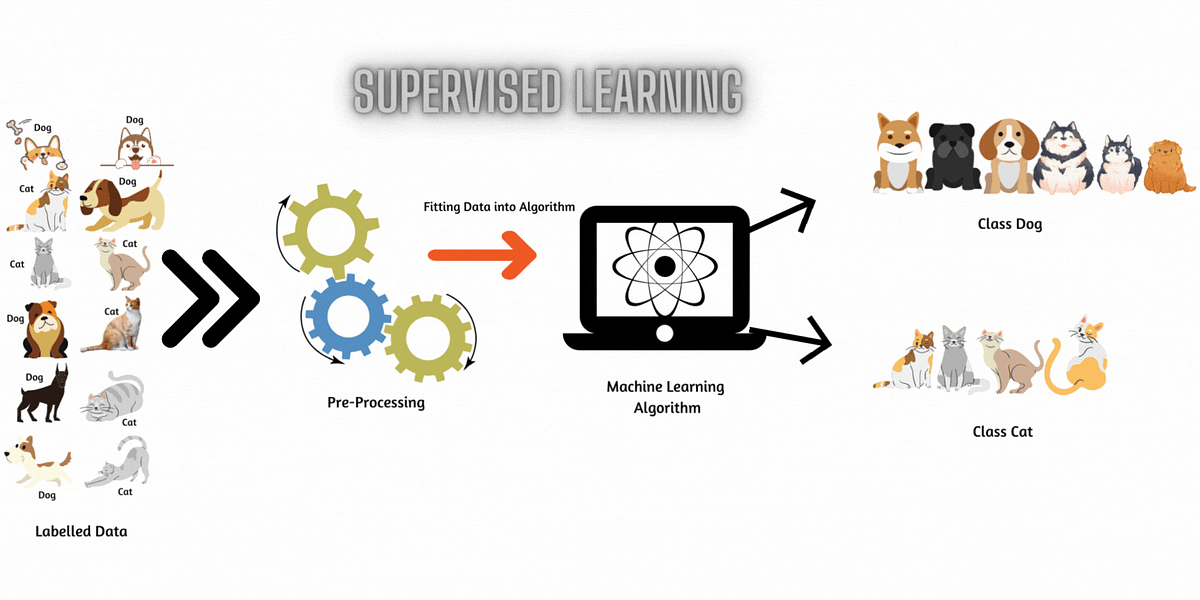 Supervised Learning. How algorithm learn to predict from… | by ...