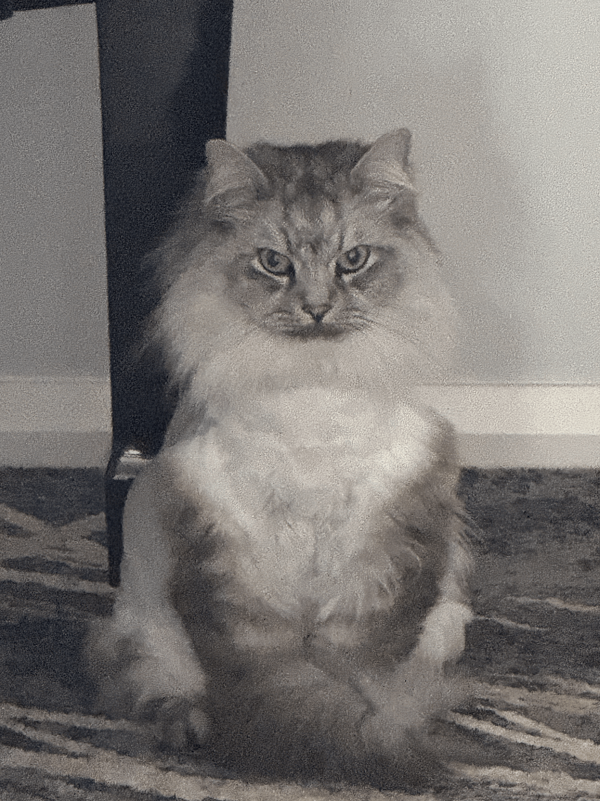 Preface: My (Our Generation’s) Hamartia | by rhapsoOodic | Jan, 2025 | Medium