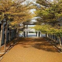 Yuwen Lan – Medium