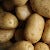 potato – Medium