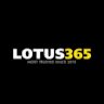 Lotus 365 – Medium