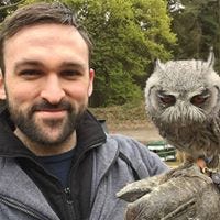 Stevey – Medium