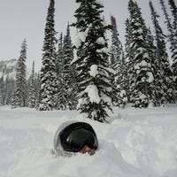 Quinton Bullock – Medium