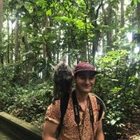 Jack Terry – Medium