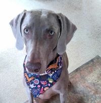 Lisa Kaiser – Medium