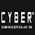 Cyber Electrical – Medium