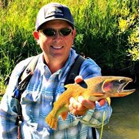 Mark Greer – Medium