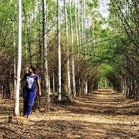 Nithisha Chaviti – Medium