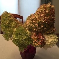 Cheryl Schultz – Medium