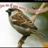 K Vasudevan – Medium