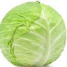 Kale – Medium