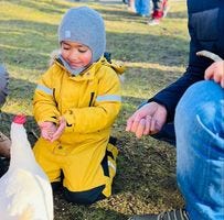 Farwa Ali Hassan – Medium