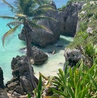 Debbie Biddle – Medium