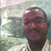 Waleed Md Alhasan – Medium