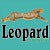 Leopard Money – Medium