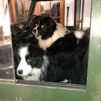 Mark Higgins – Medium