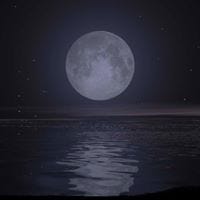 Evandro Cruz – Medium