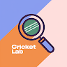 Cricket lab – Medium