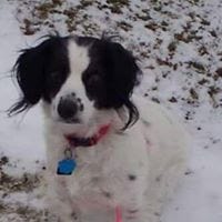 About – Carole Reed – Medium