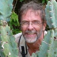 Martin van Gastel – Medium