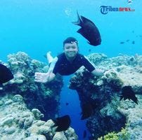Cesc Ferdy – Medium