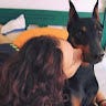 fakhra zafar – Medium