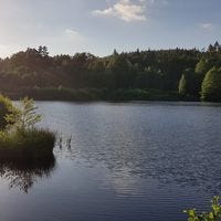 Martin Eklund – Medium