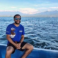 Edmar Alino – Medium