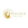 Peacock Trial TV – Medium