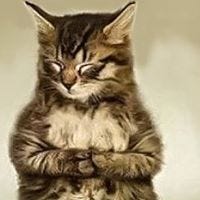 Stephen Runnels – Medium